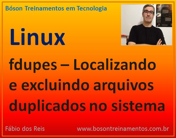 Removendo Arquivos Duplicados No Linux Com Fdupes Bóson Treinamentos Em Ciência E Tecnologia