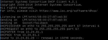 Como liberar e renovar endereços IP DHCP com dhclient no Linux - Bóson ...